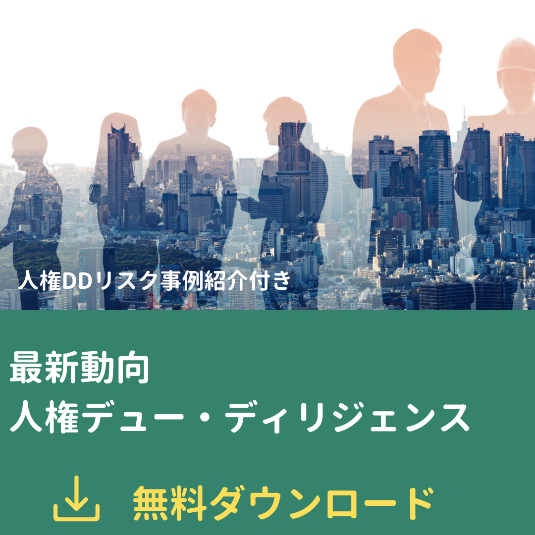 SSBJ基準・制度の全体像：決定事項と今後の制度動向 - ESG Journal